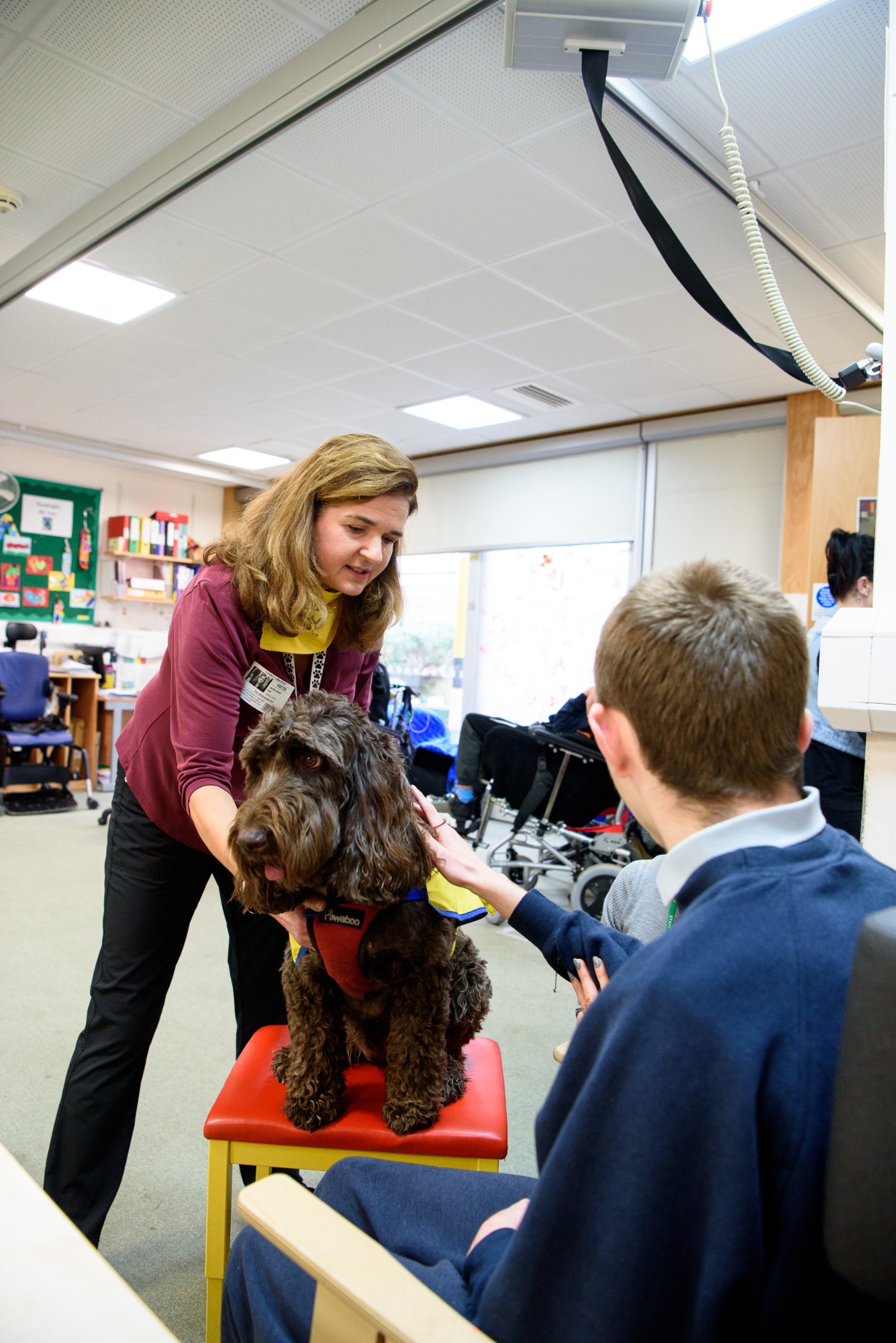 Linden Lodge School - Pre-Formal⁺ Curriculum